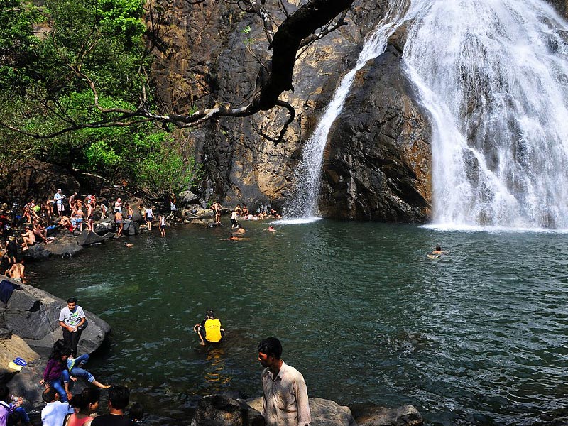 Dudhsagar Waterfalls Trek from Bengaluru - Aranya Adventure